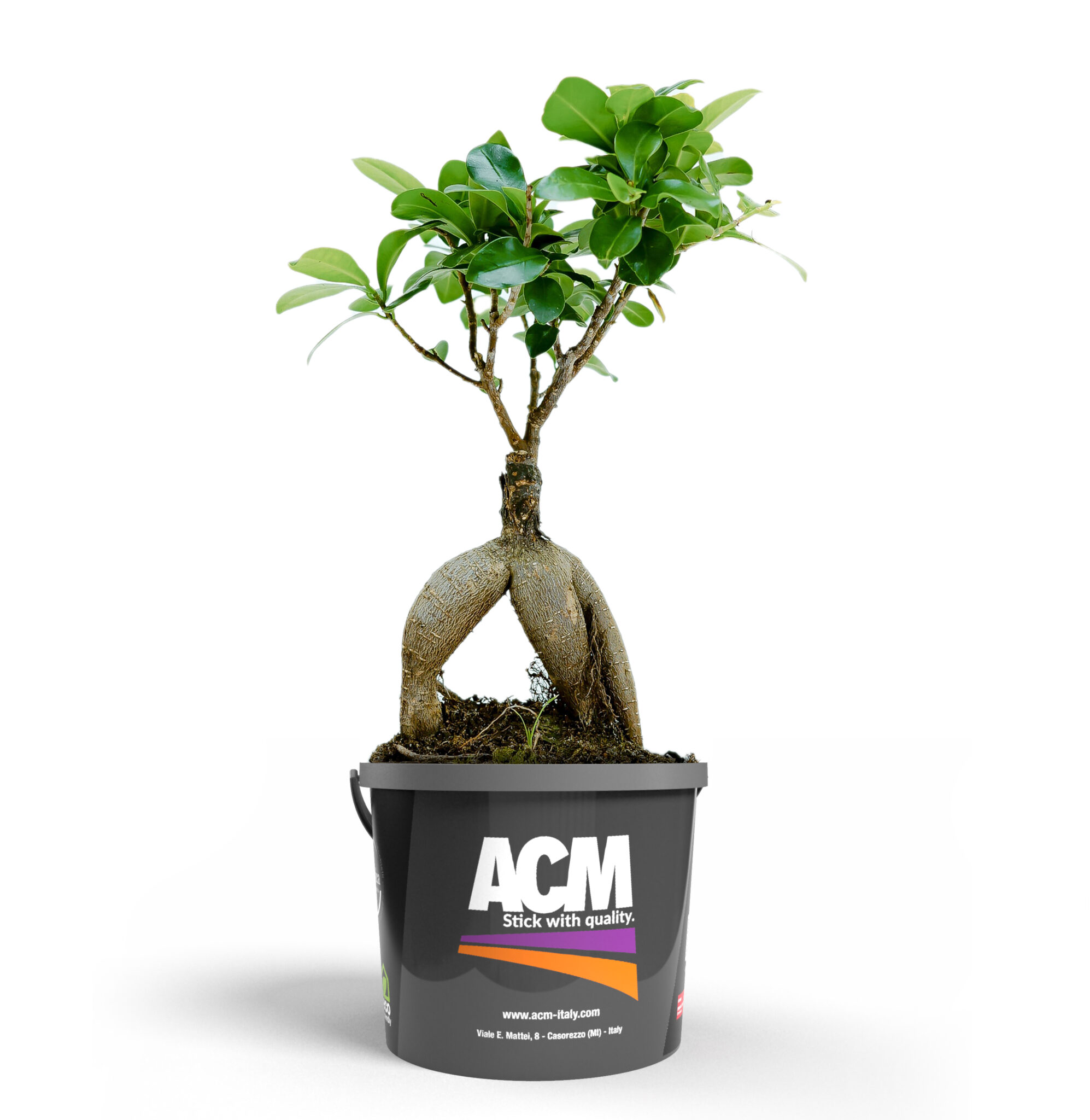 About ACM - acm-italy